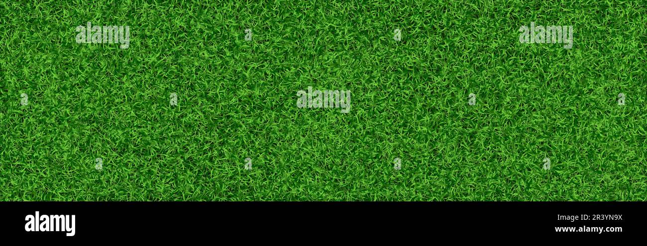 Grass texture. Summer garden template. Realistic lawn background. Green ...