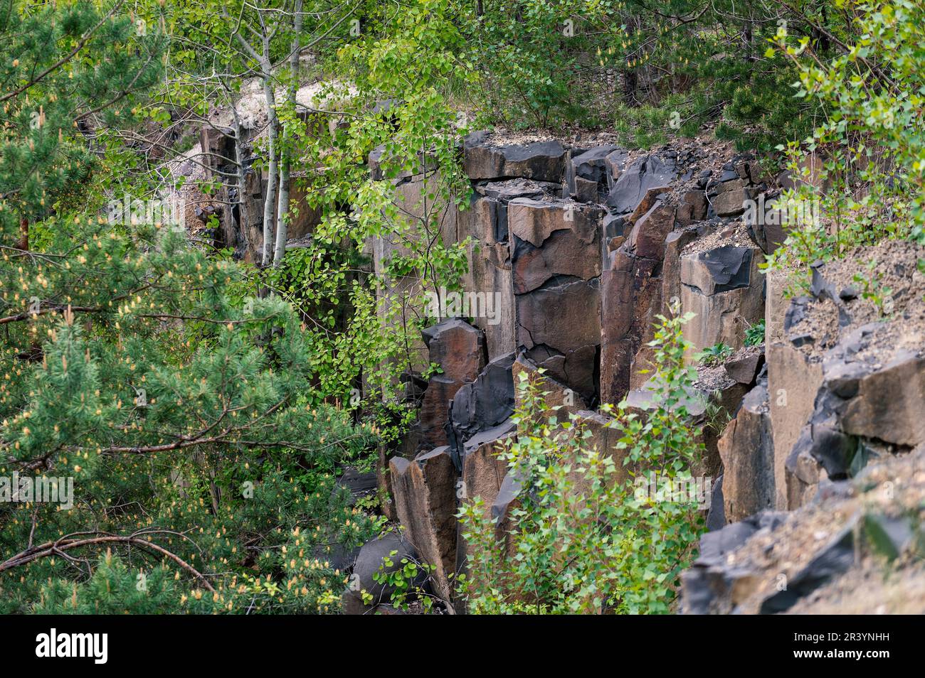 Basalt pillars in an abandoned quarry. Abandoned basalt quarry as a ...
