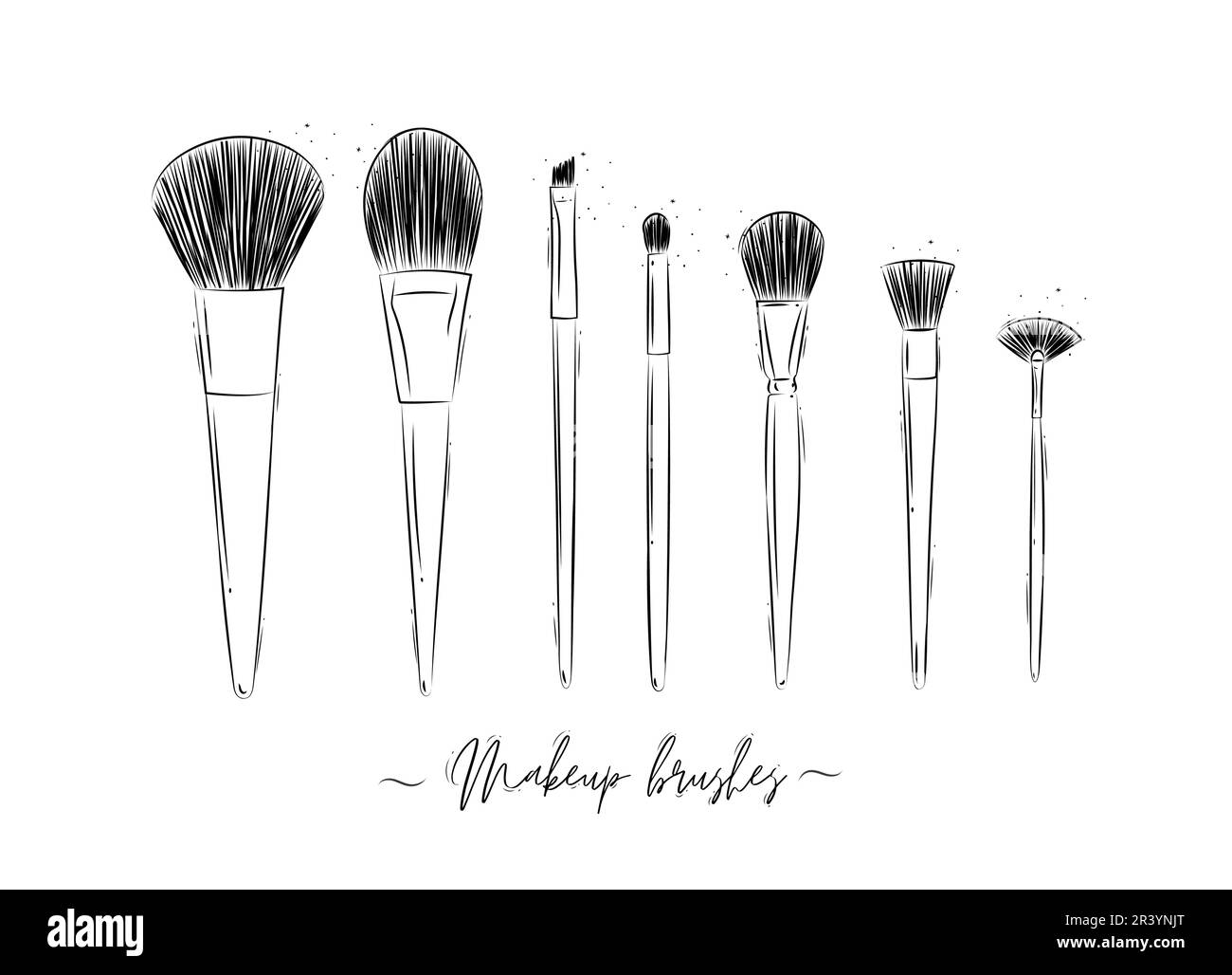Brushes for makeup, powder, foundation, eye shadow beauty collection ...