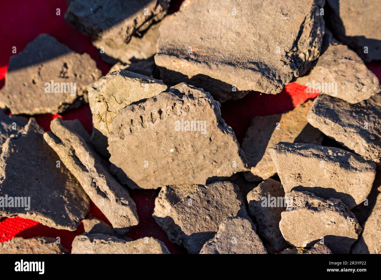 Fragments of medieval ceramics collected at an archaeological site ...