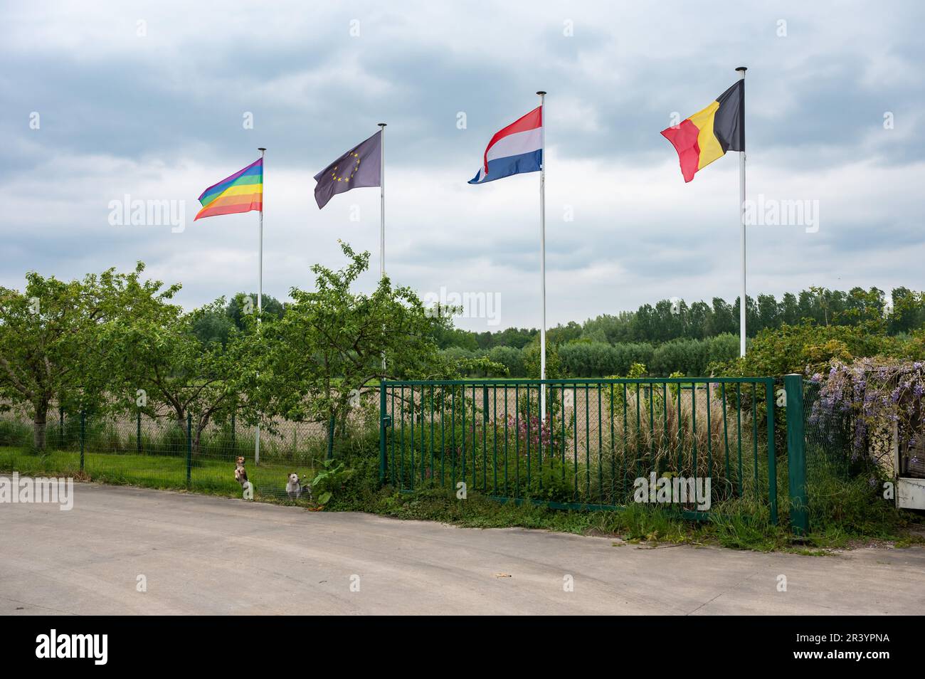 Stekene, East Flemish Region, Belgium - May 21, 2023 - Belgian, Dutch ...