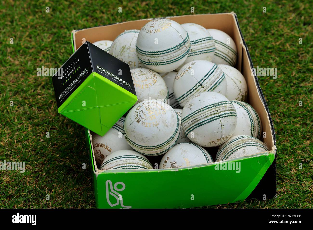 Used White Cricket Ball