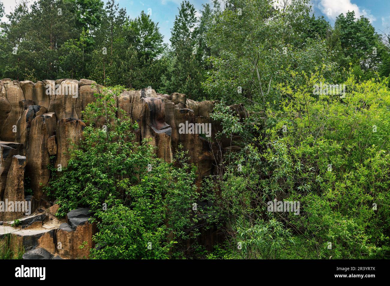 Basalt pillars in an abandoned quarry. Abandoned basalt quarry as a ...