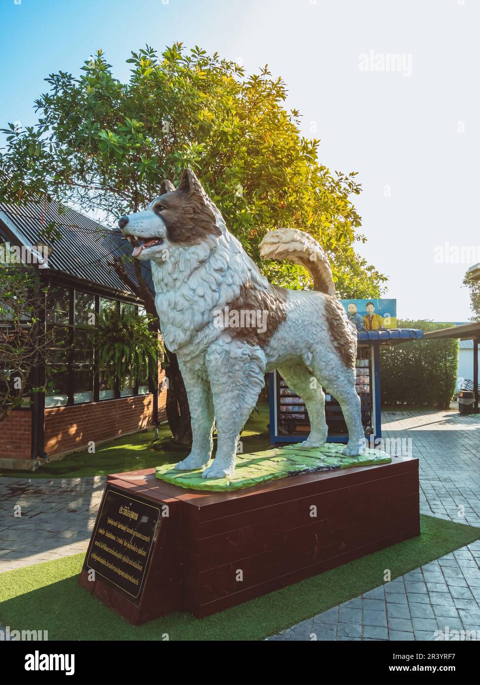 PHITSANULOK -THAILAND,DECEMBER 11 ,2020 : A beautiful statue of white-brown dog of the Bang Kaeo ...