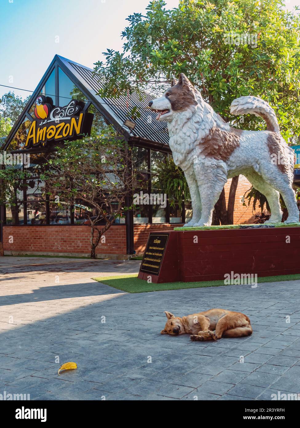 PHITSANULOK -THAILAND,DECEMBER 11 ,2020 : A brown dog relax and sleep near the beautiful statue ...