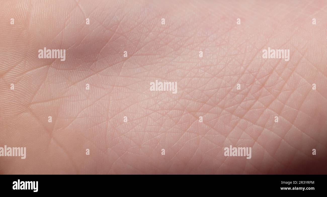 Micro texture hi-res stock photography and images - Alamy