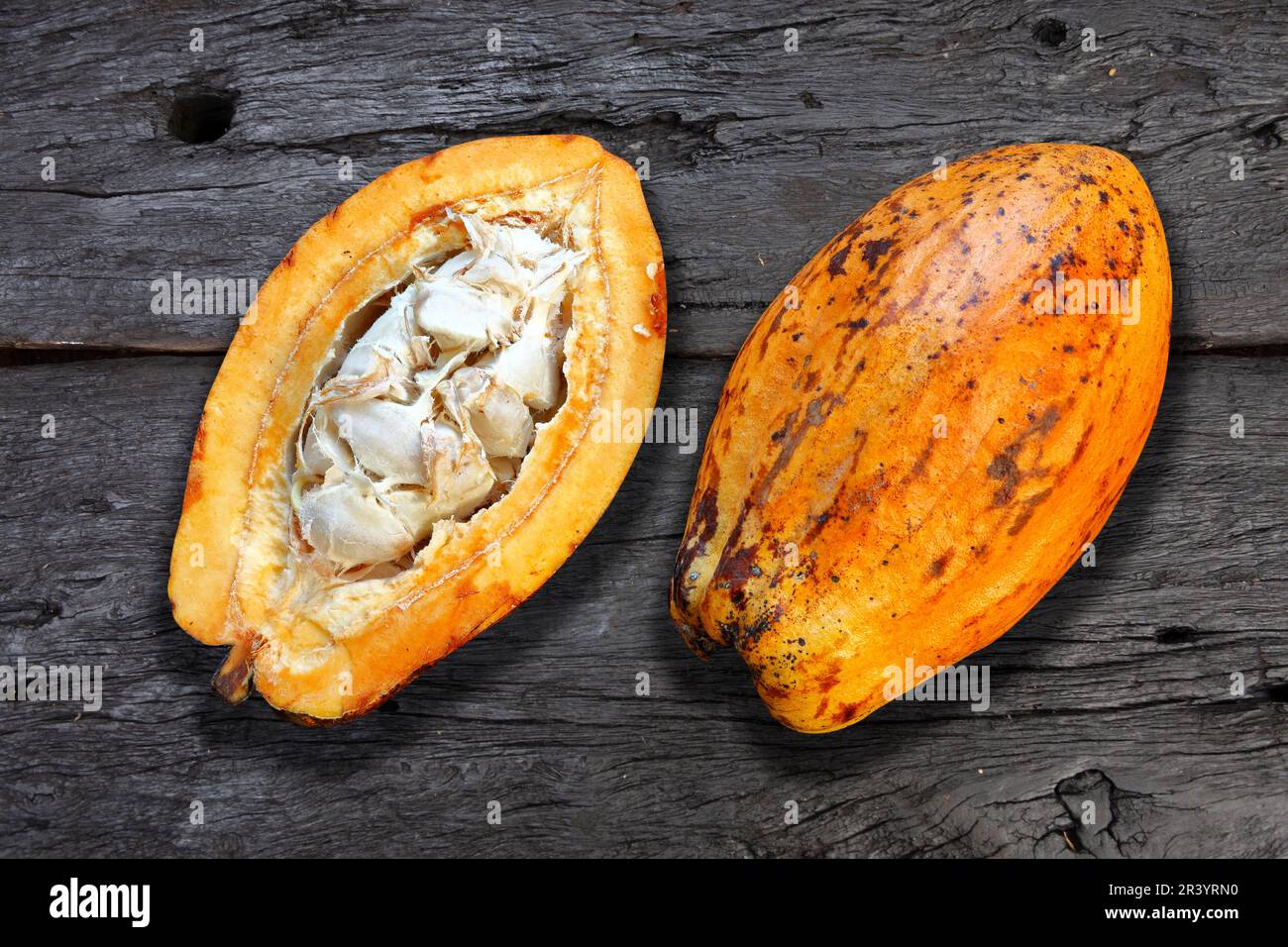 Cocoa farming brazil hi-res stock photography and images - Alamy