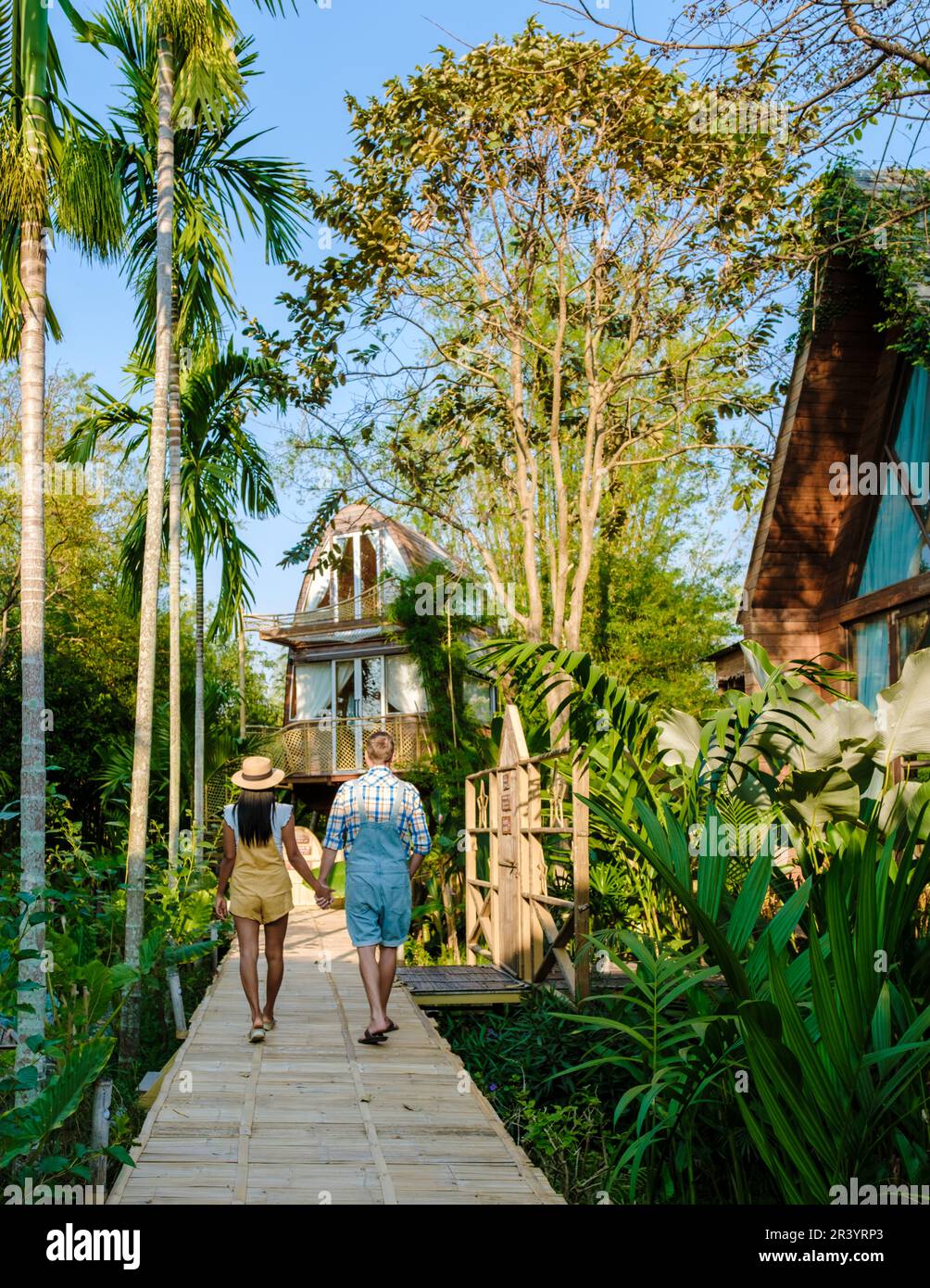 Wooden cottage surrounded by palm trees and a vegetable garden in the ...