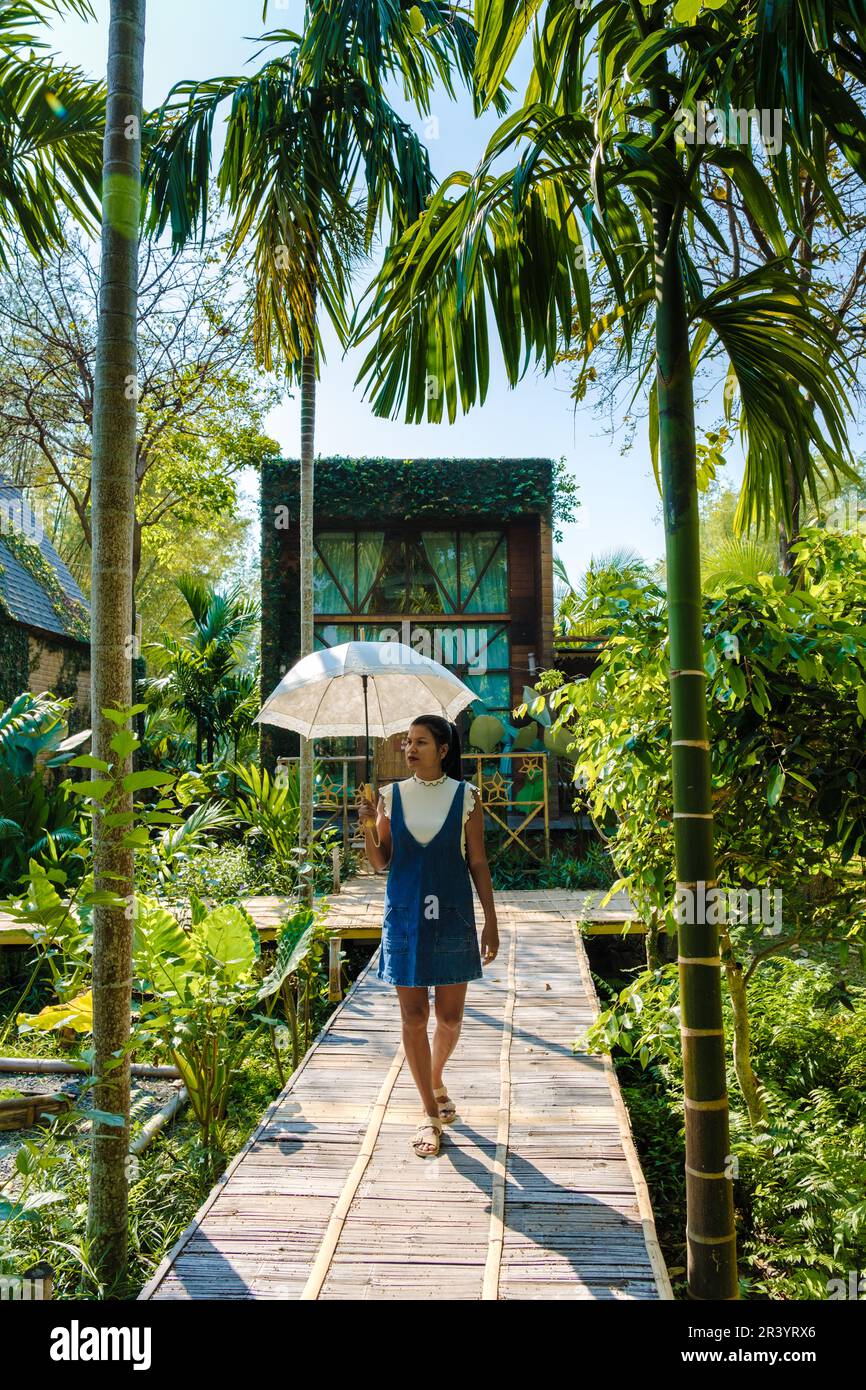 Wooden cottage surrounded by palm trees and a vegetable garden in the ...