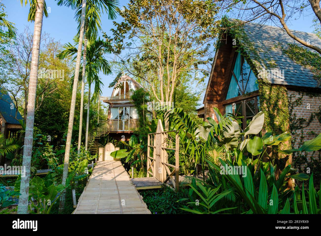 Wooden cottage surrounded by palm trees and a vegetable garden in the ...