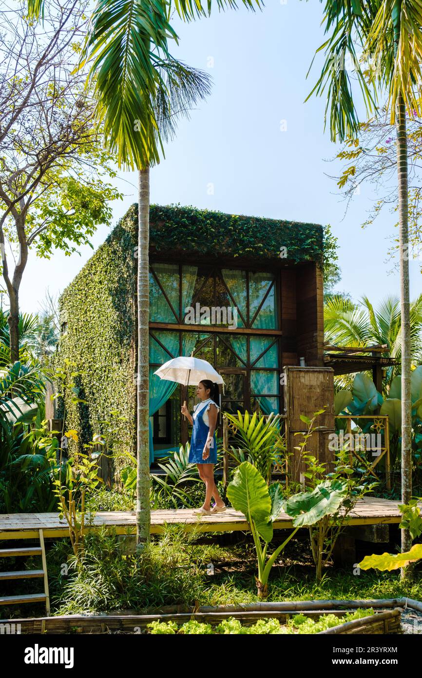 Wooden cottage surrounded by palm trees and a vegetable garden in the ...