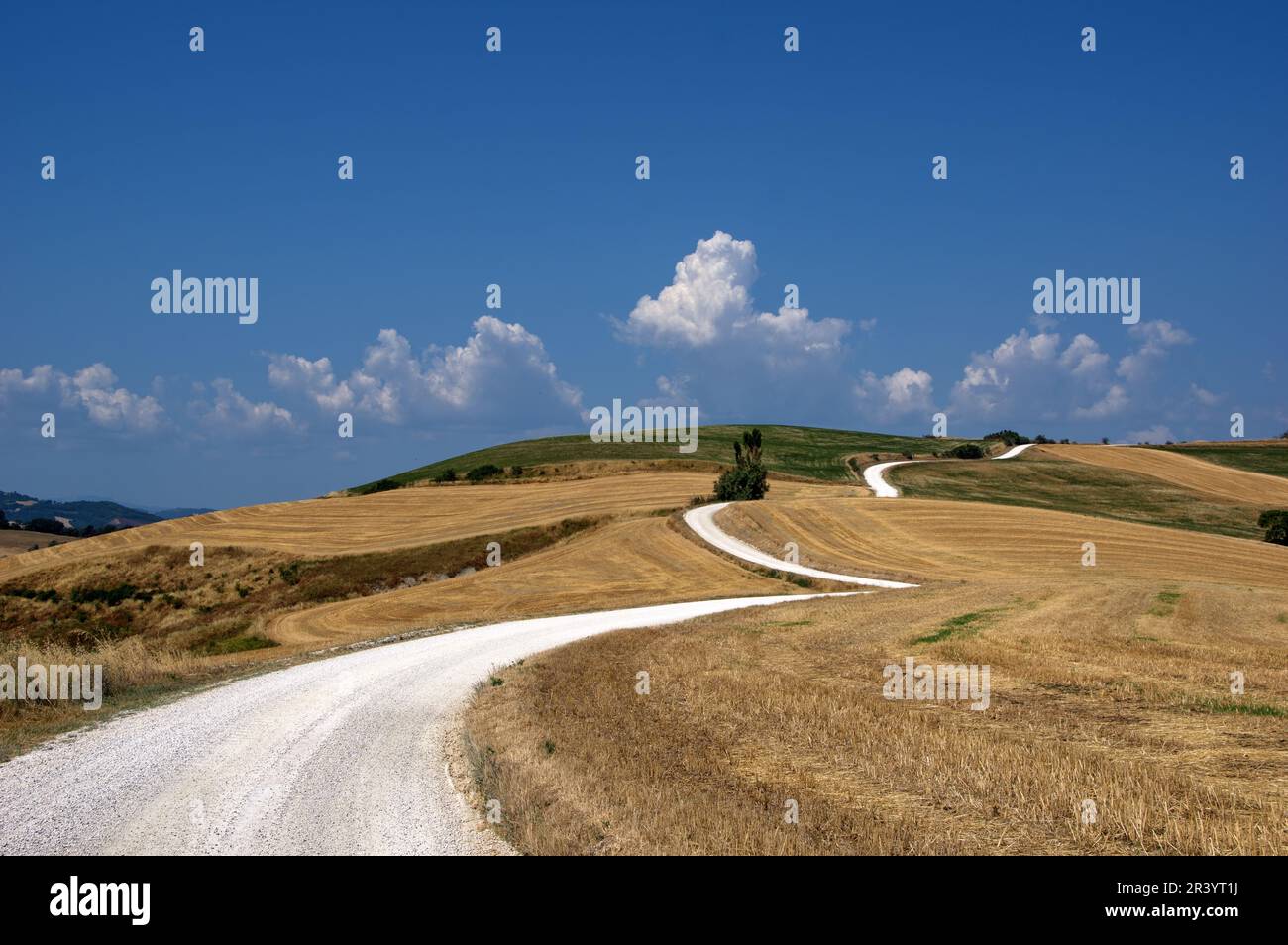 white country road Stock Photo - Alamy