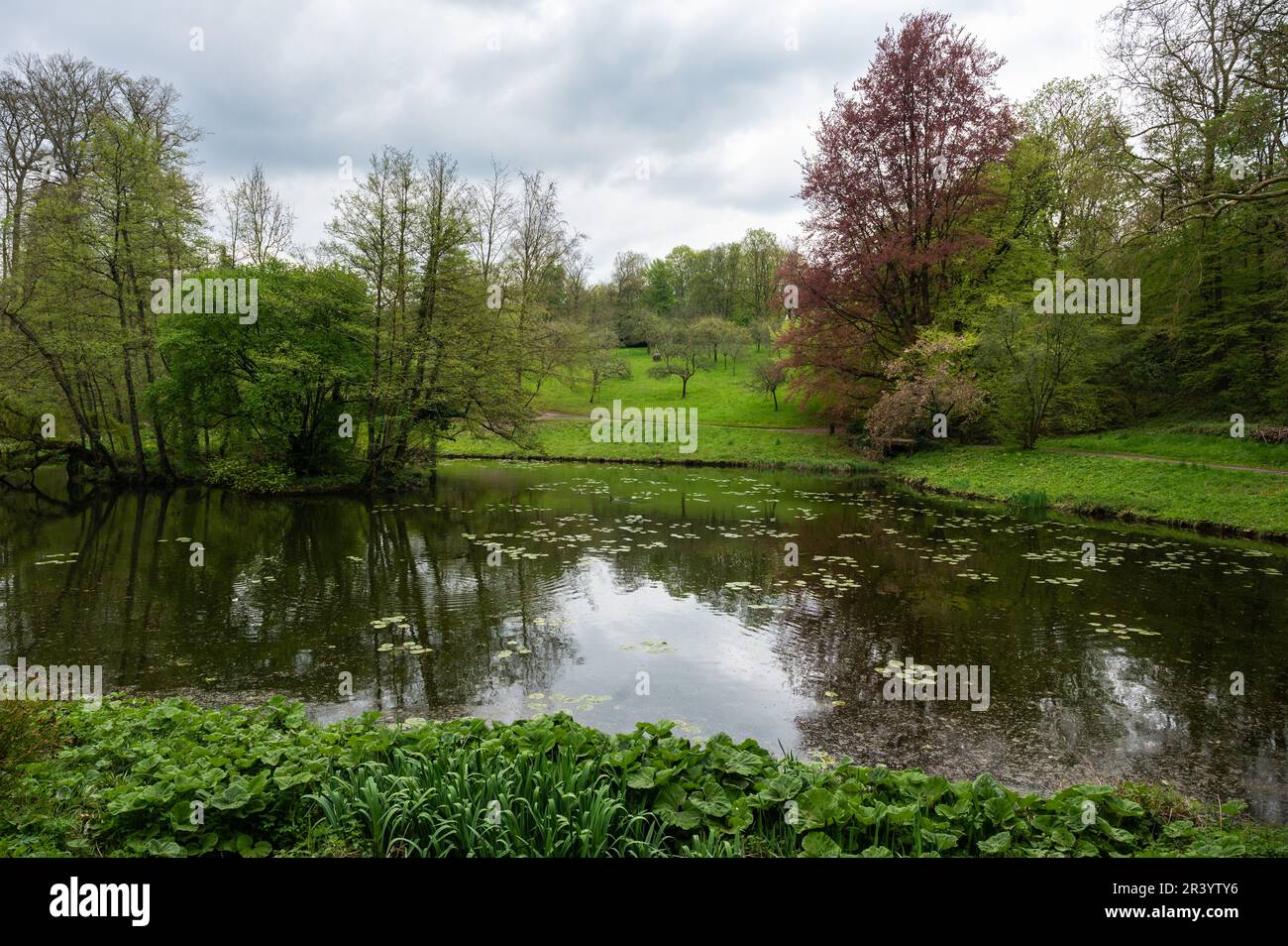 Ponds of watermael hi-res stock photography and images - Alamy