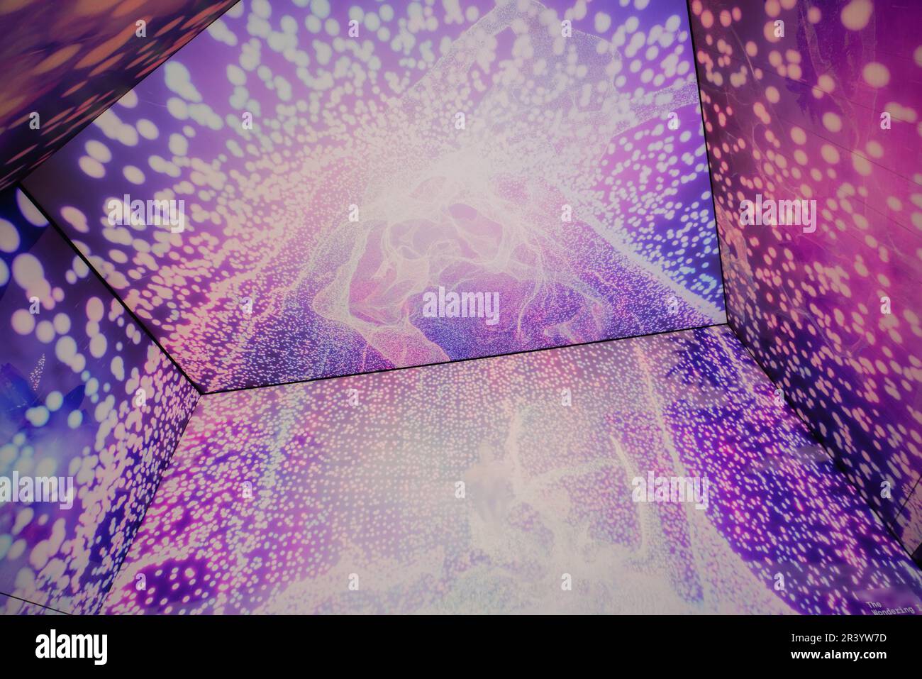 London UK. 25 May 2023 People intereact with the large digital body ...