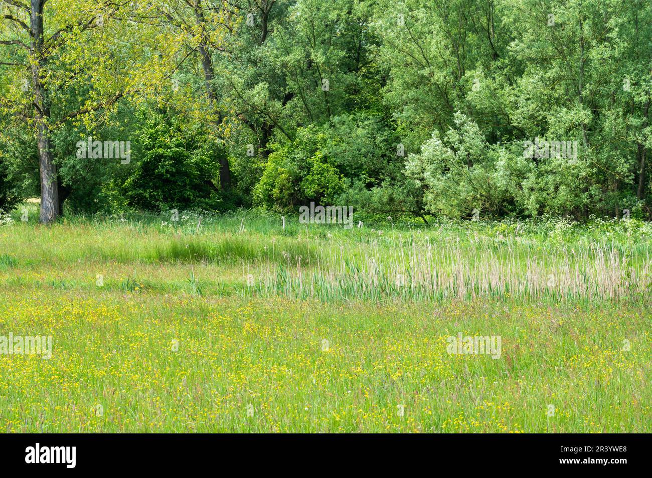 Lokeren belgium hi-res stock photography and images - Alamy