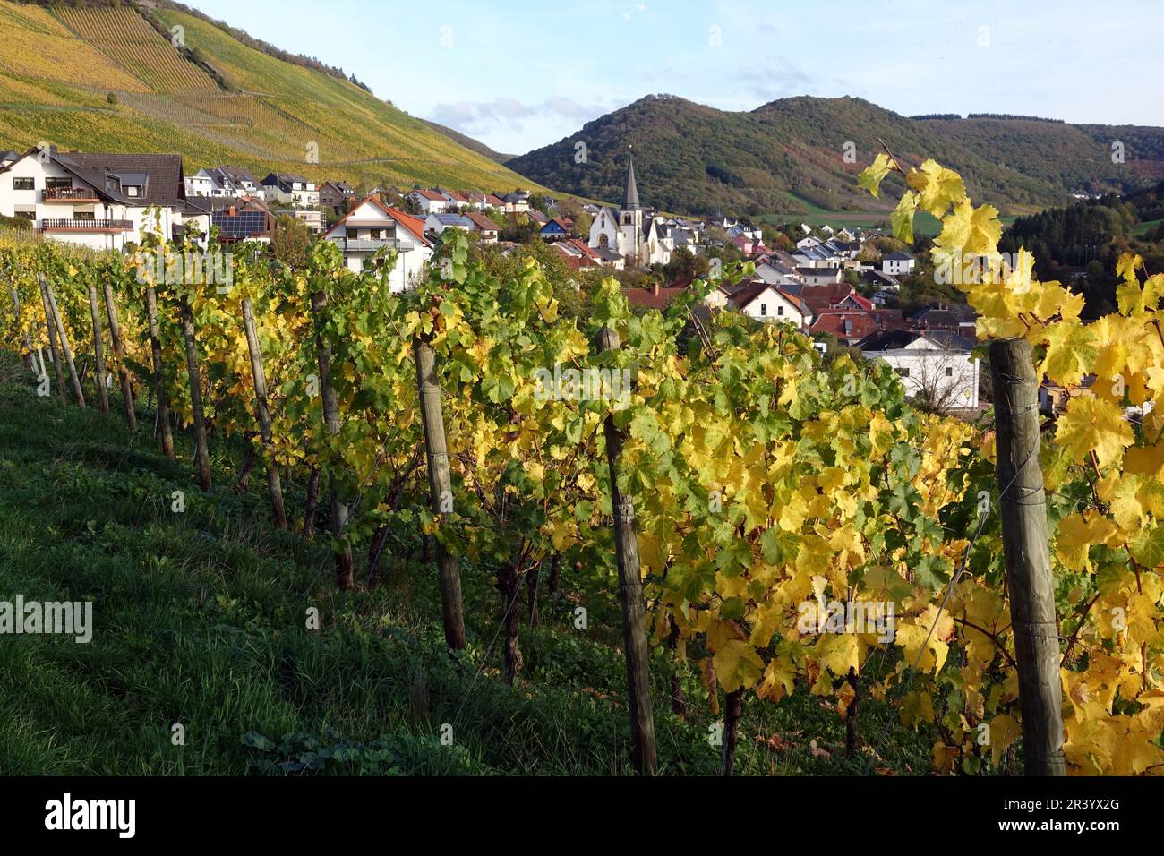 Ockfen hi-res stock photography and images - Alamy