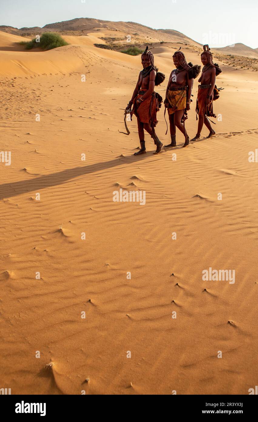 Three women of the Himba tribe in traditional dress walk in the desert ...
