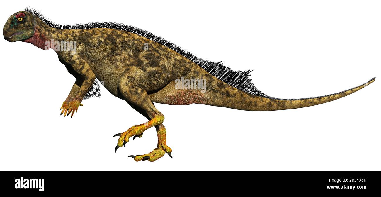 Oryctodromeus dinosaur, side view on white background Stock Photo - Alamy