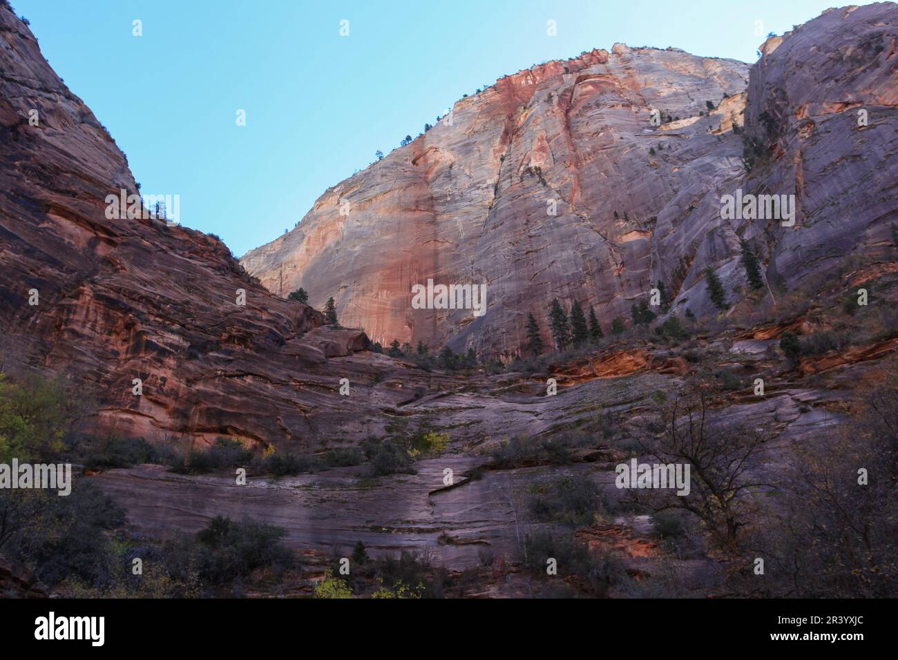 Observation Point Trail in Zion National Park, Utah Stock Photo - Alamy