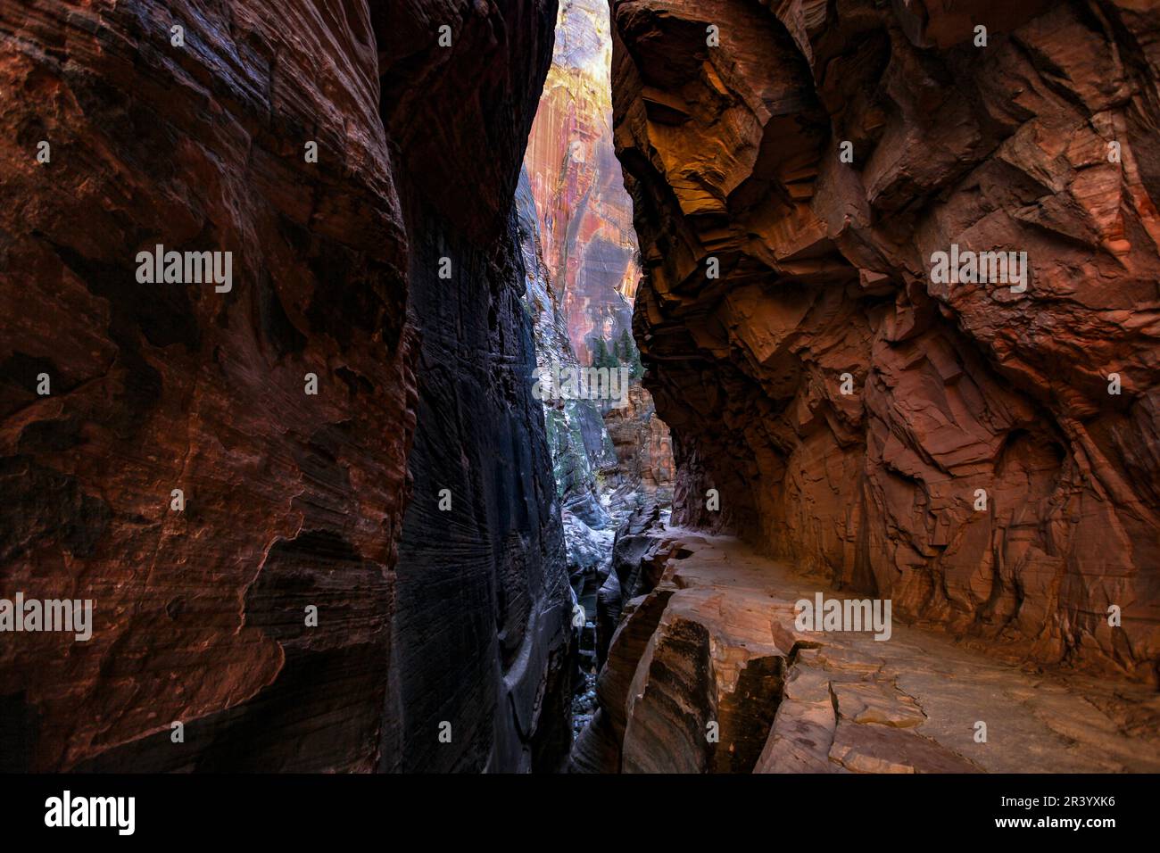 Observation Point Trail in Zion National Park, Utah Stock Photo - Alamy