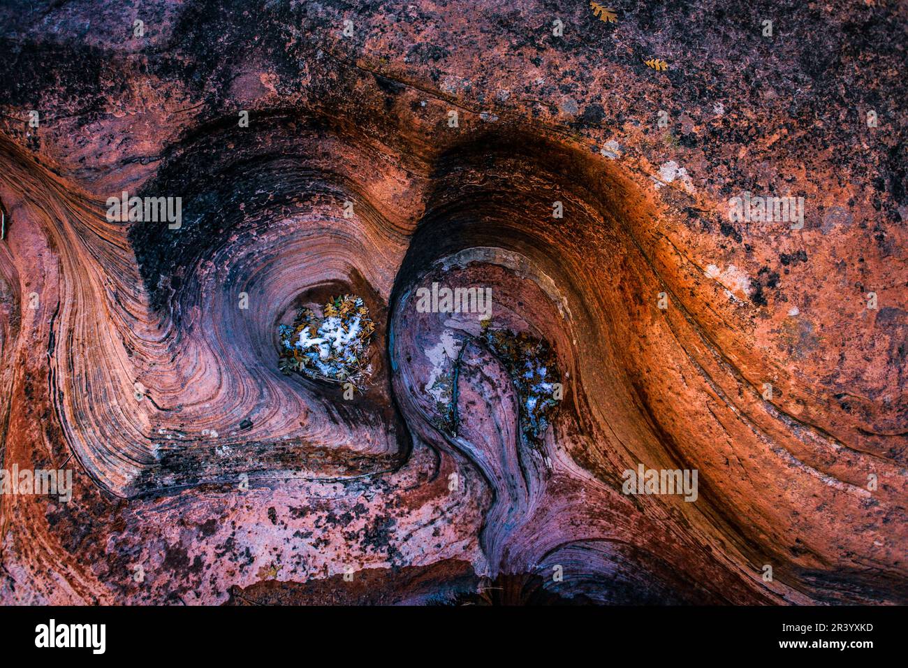 Observation Point Trail in Zion National Park, Utah Stock Photo - Alamy