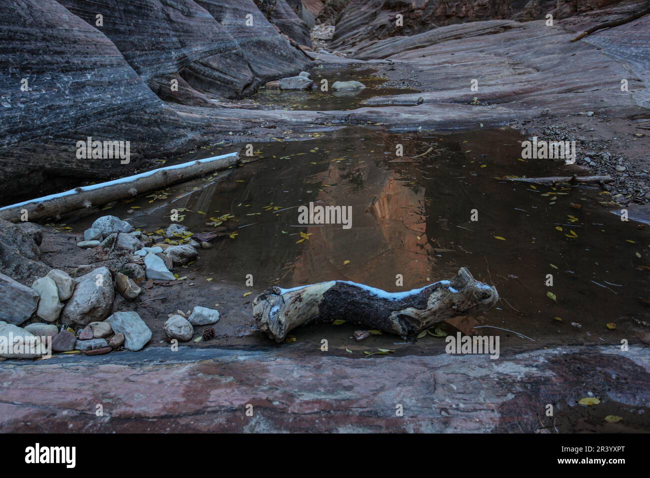 Observation Point Trail in Zion National Park, Utah Stock Photo - Alamy