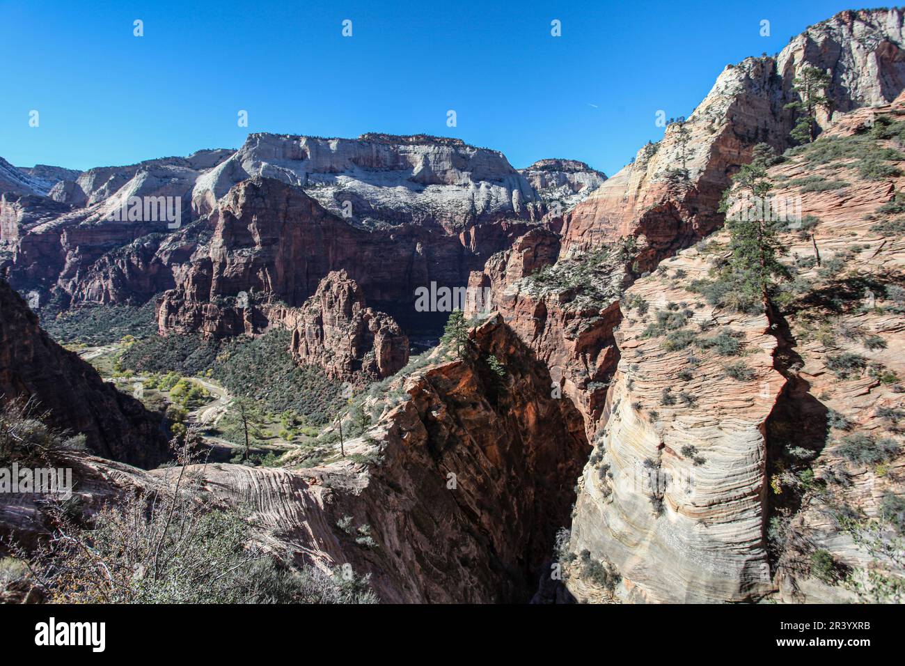 Observation Point Trail in Zion National Park, Utah Stock Photo - Alamy