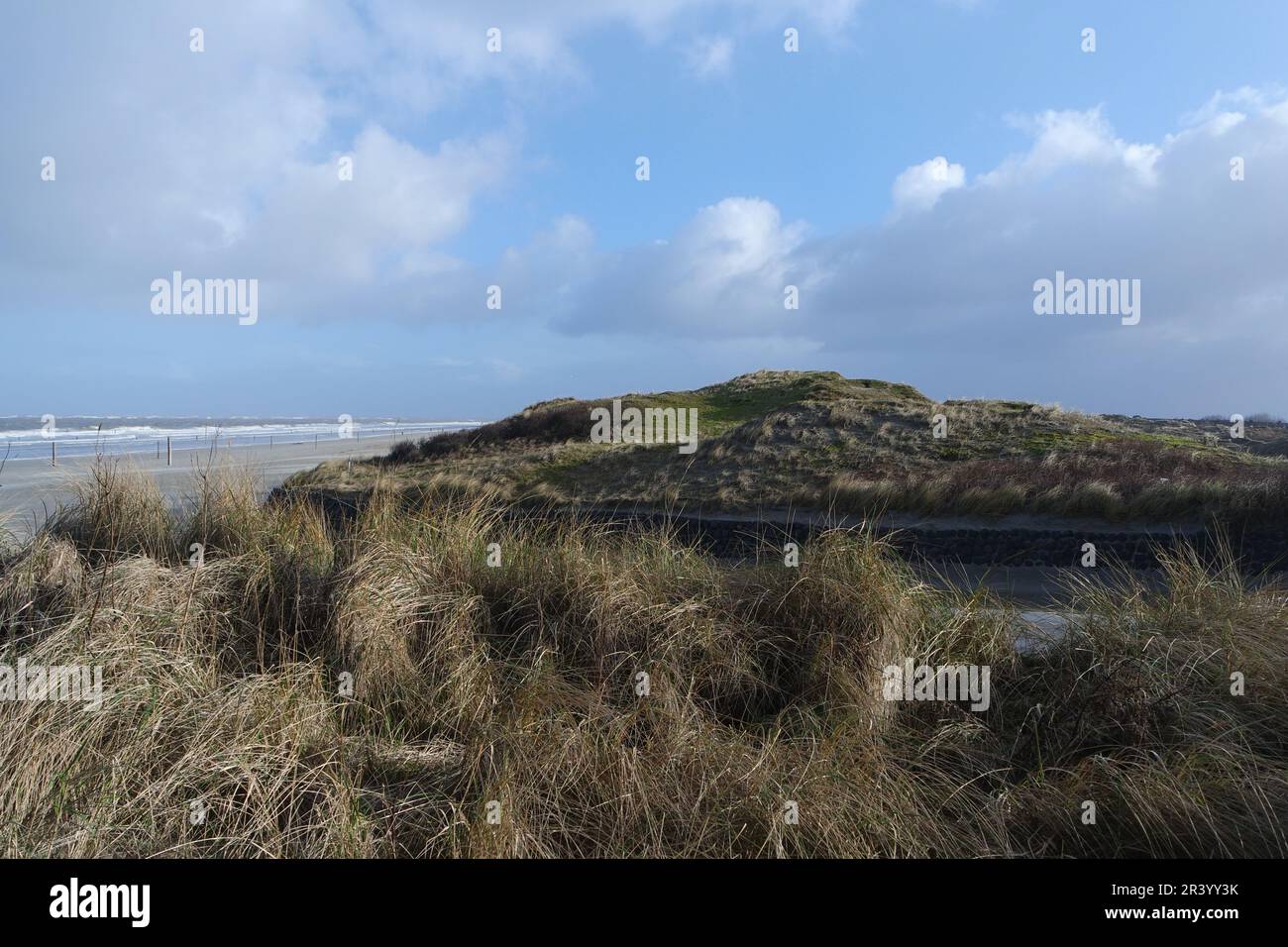 Dune landscape, Norderney island Stock Photo - Alamy