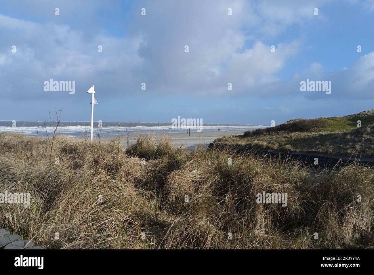 Dunes on the beach. Norderney island Stock Photo - Alamy