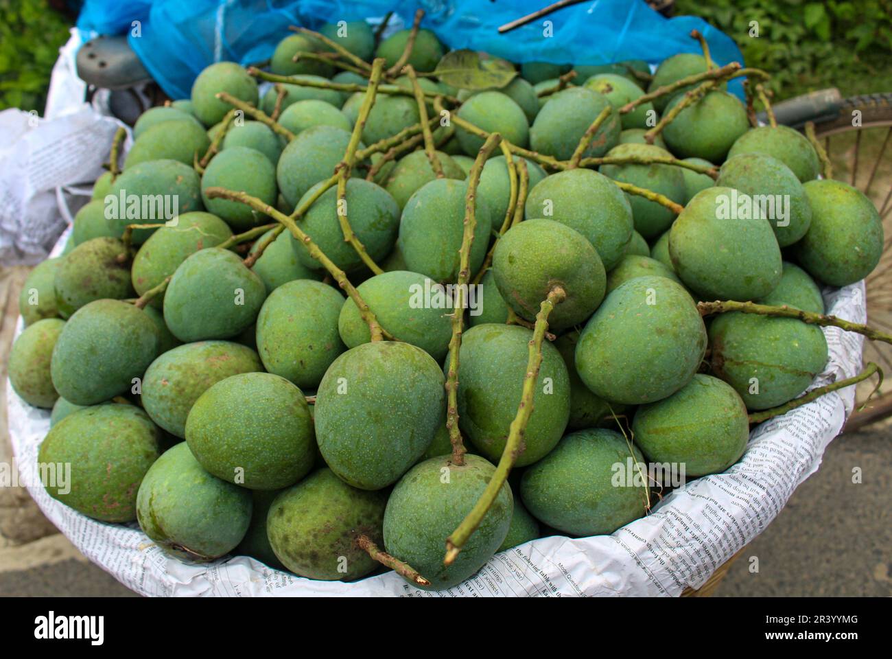 Village Mango Market Stock Photo - Alamy