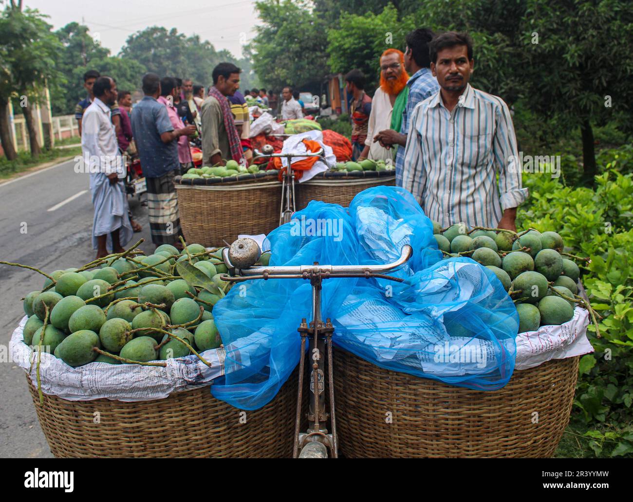 Village Mango Market Stock Photo - Alamy