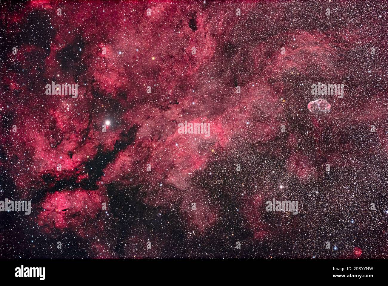 Nebulosity in Central Cygnus near the bright star Gamma Cygni (left ...