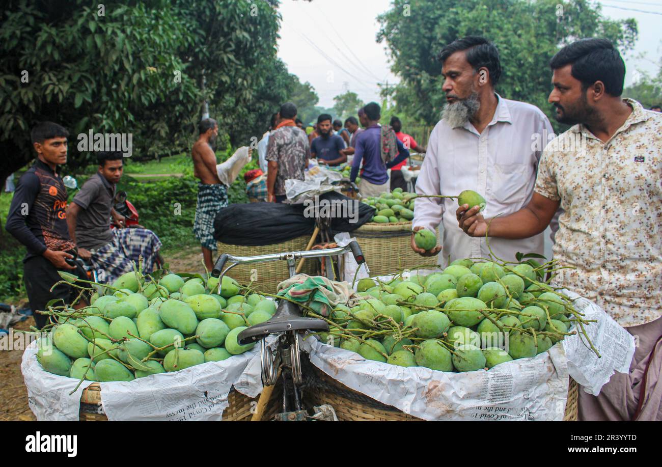 Village Mango Market Stock Photo - Alamy