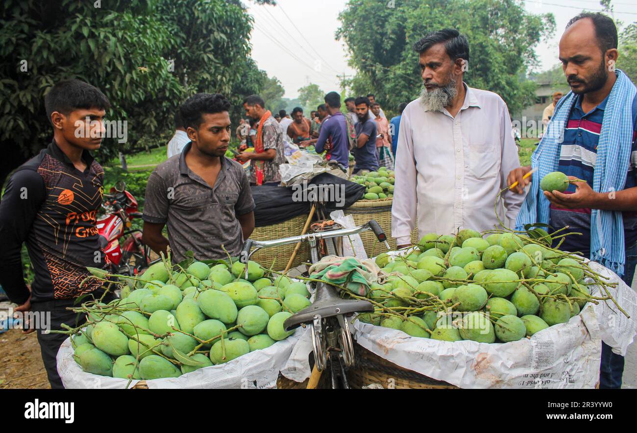 Village Mango Market Stock Photo - Alamy