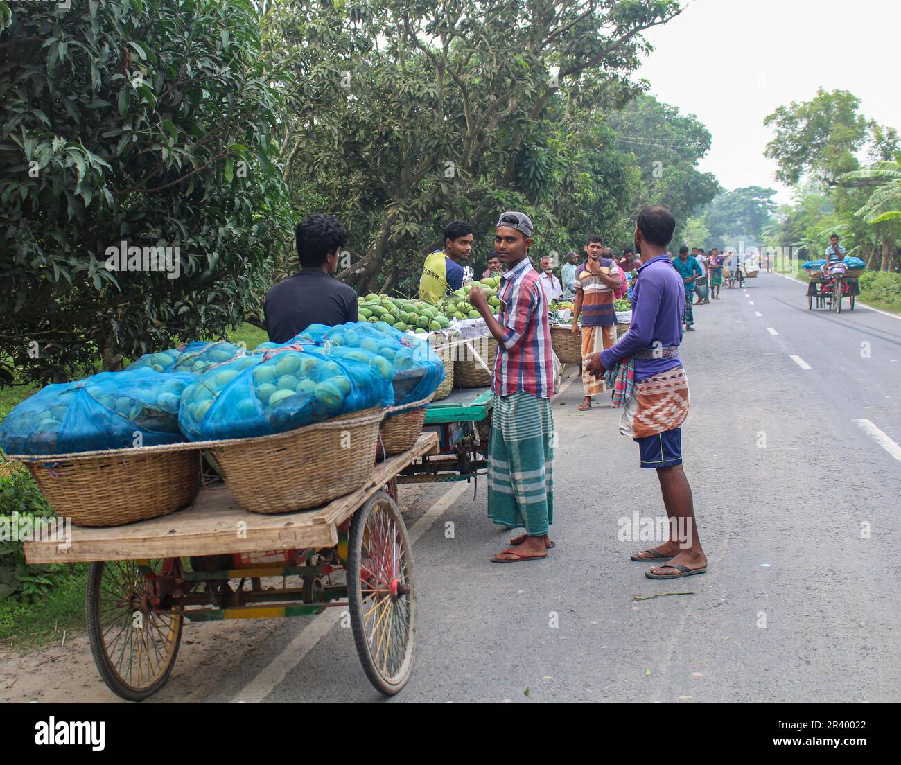 Village Mango Market Stock Photo - Alamy
