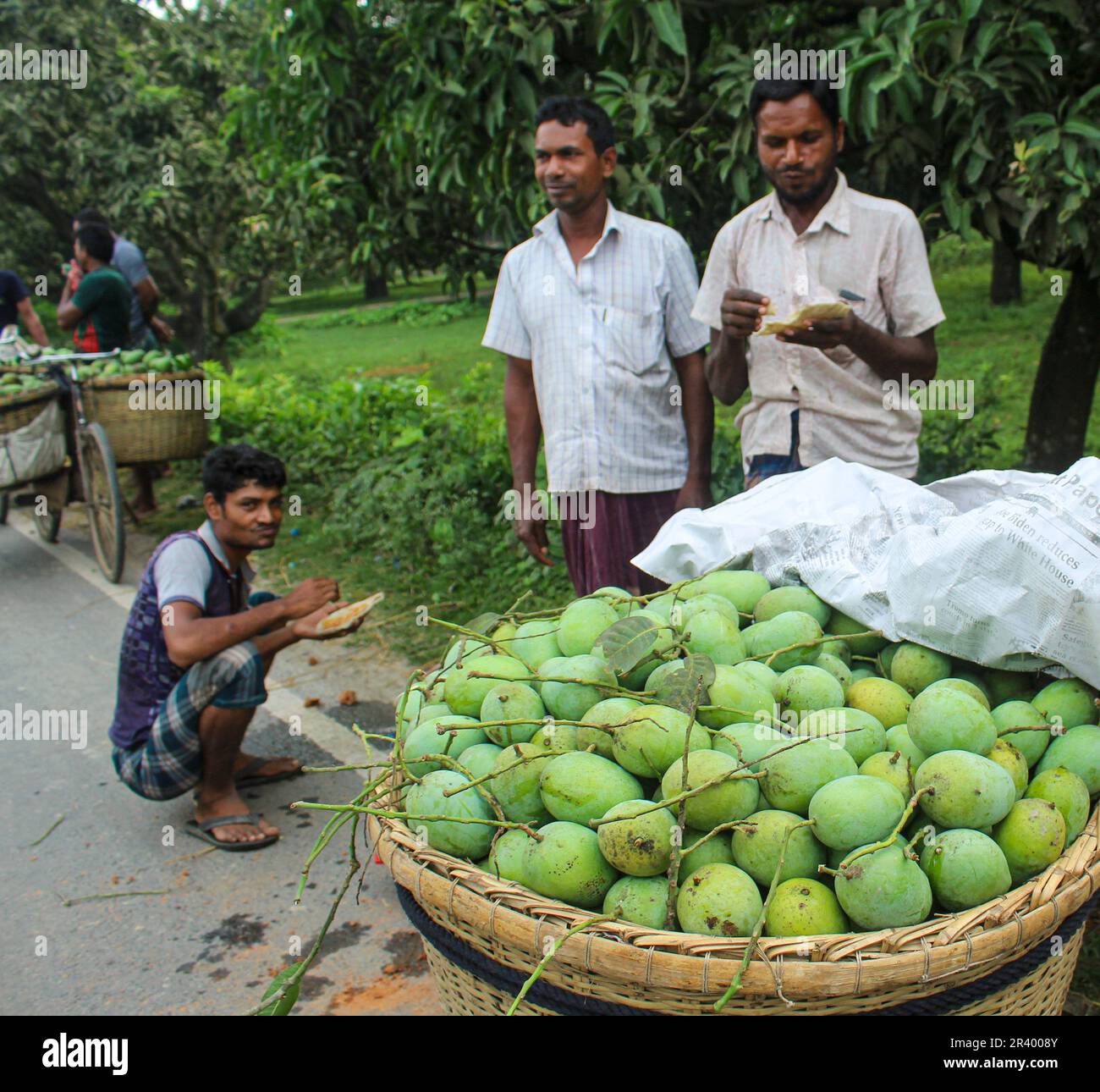 Huge mango fruits hi-res stock photography and images - Alamy
