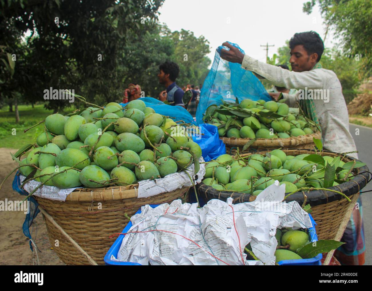 Village Mango Market Stock Photo - Alamy