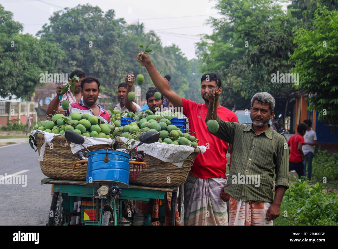 Village Mango Market Stock Photo - Alamy