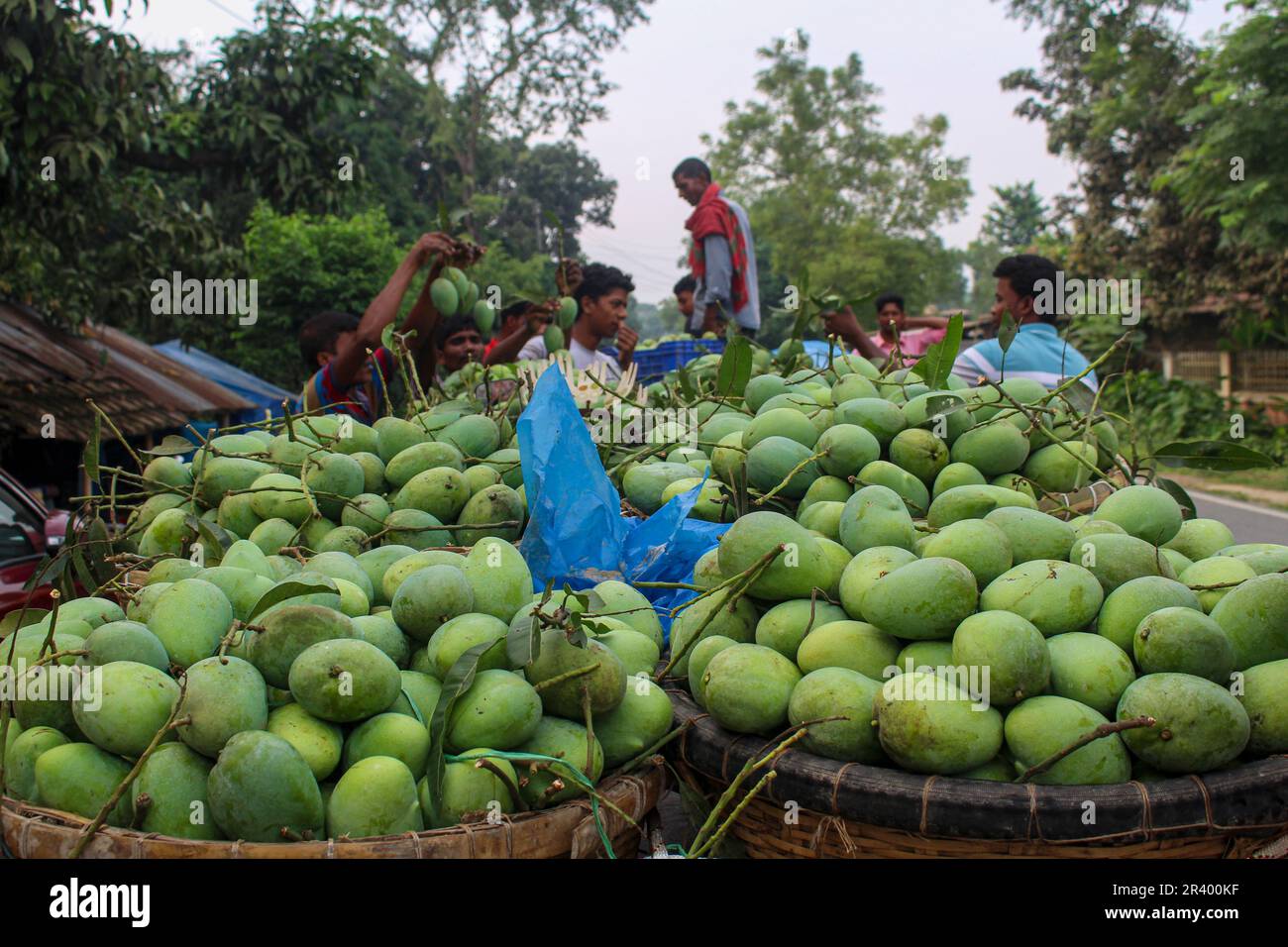 Village Mango Market Stock Photo - Alamy