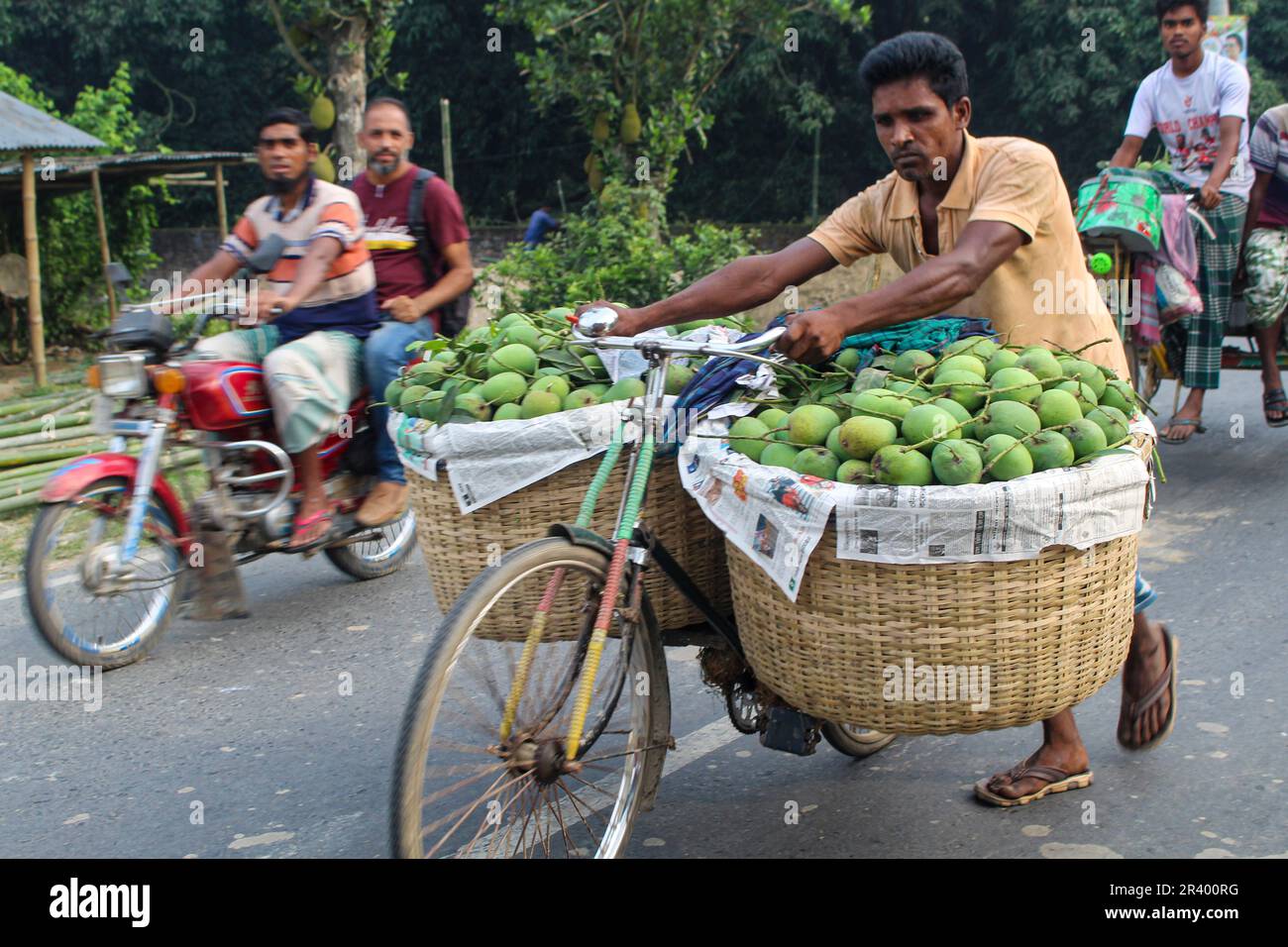 Village Mango Market Stock Photo - Alamy