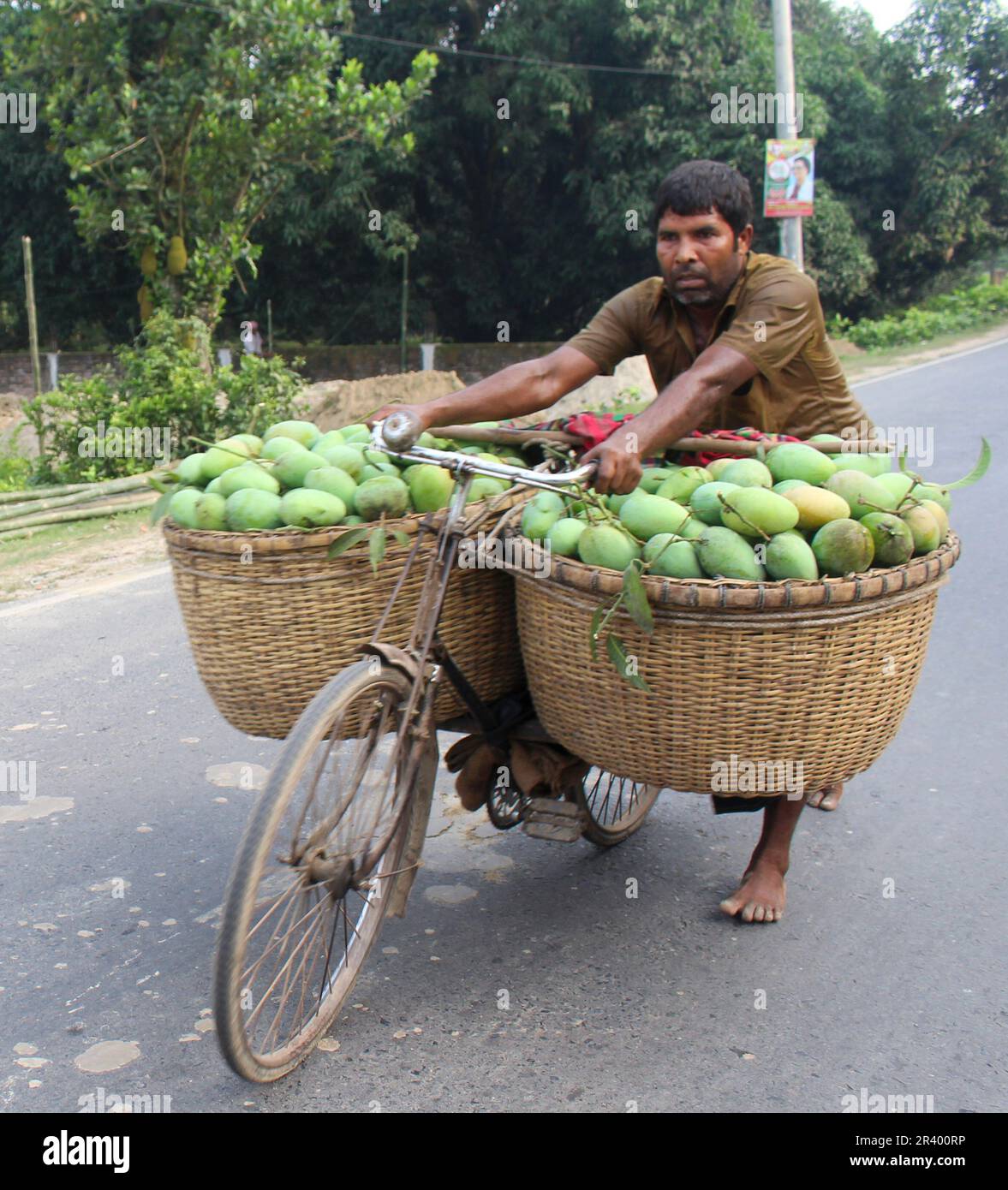 Village Mango Market Stock Photo - Alamy