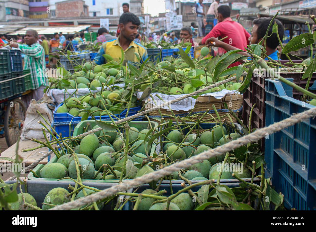 Manuall system village market mango selling hi-res stock photography and images - Alamy