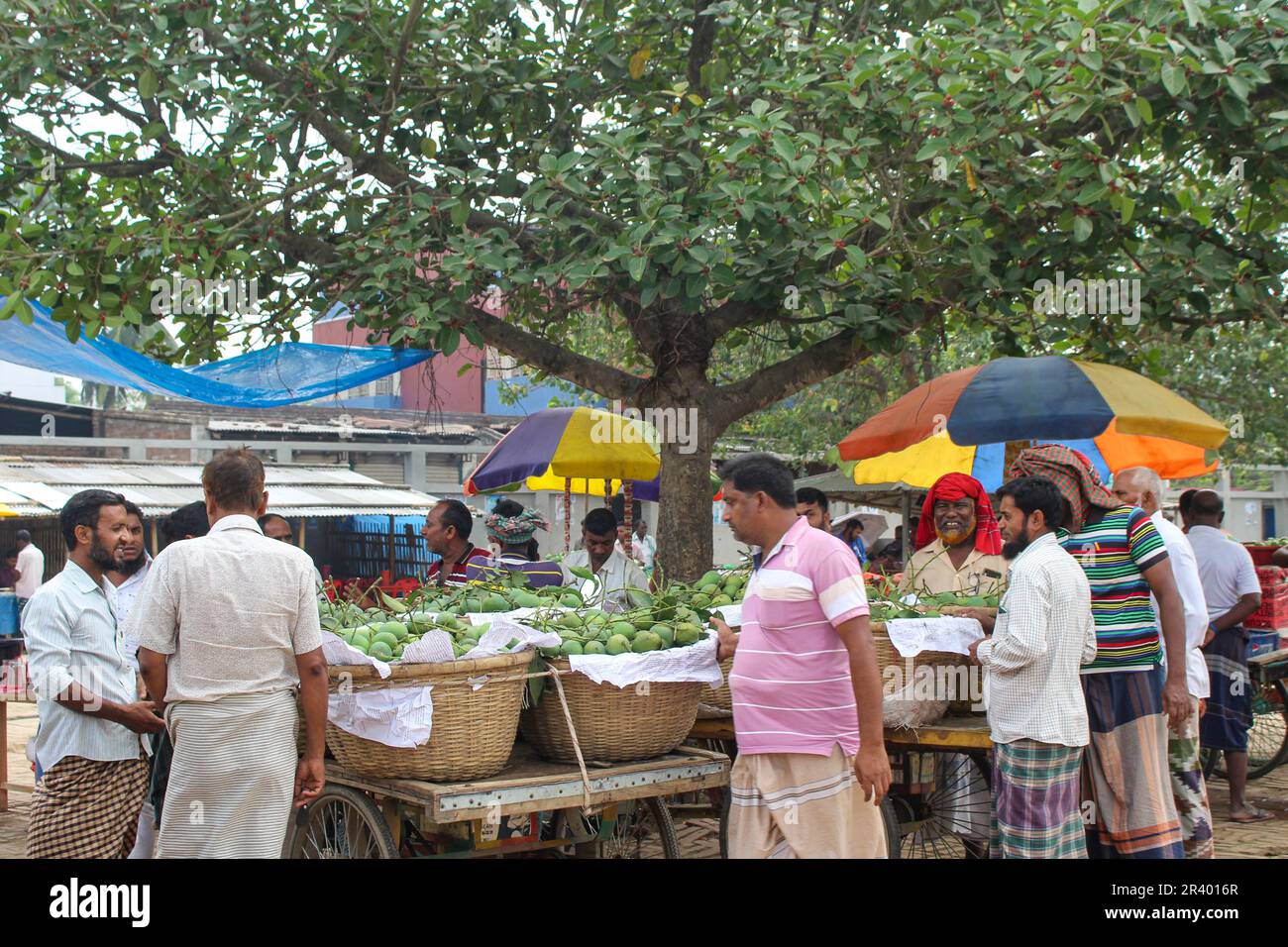 Village Mango Market Stock Photo - Alamy