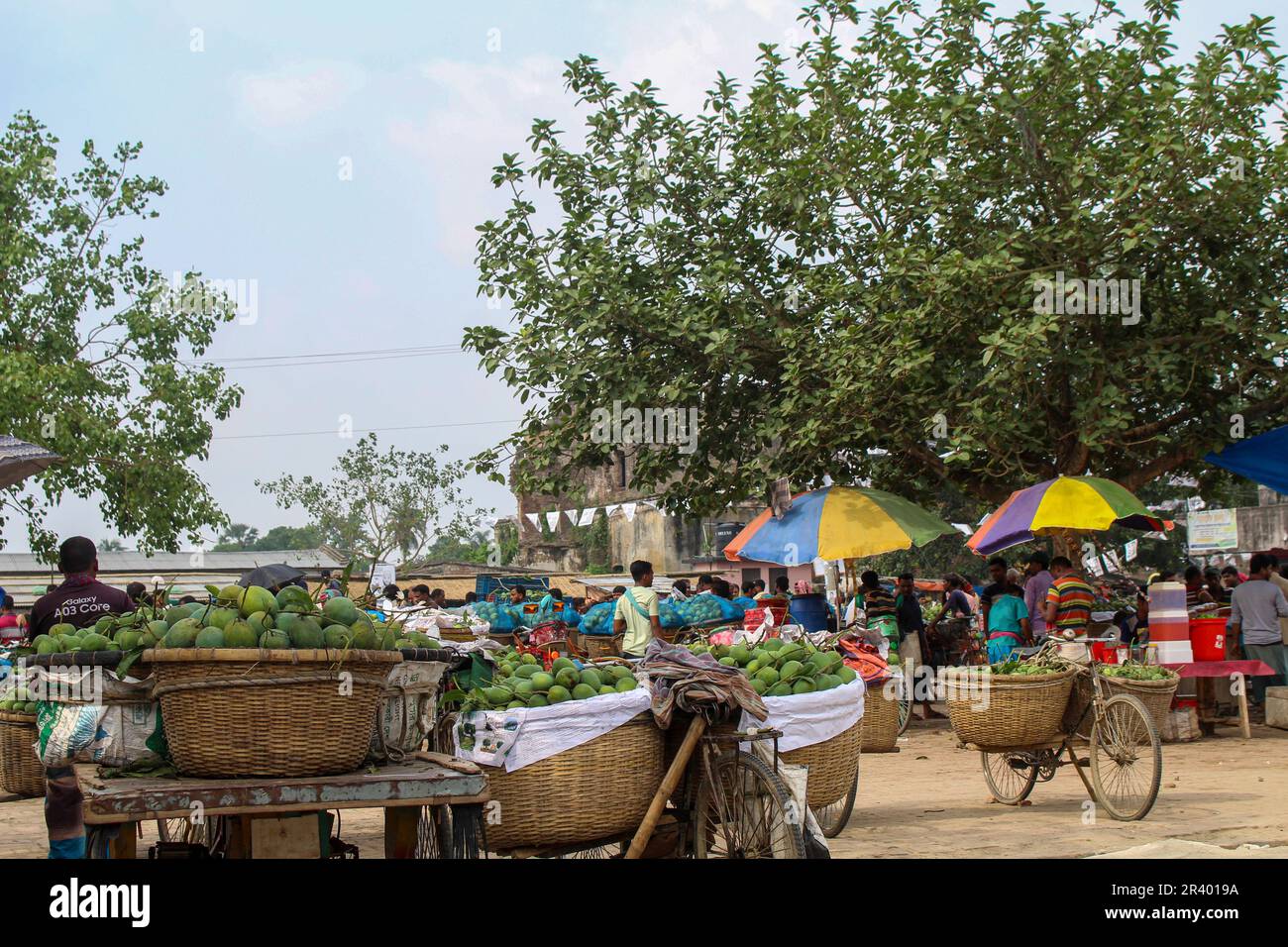 Village Mango Market Stock Photo - Alamy