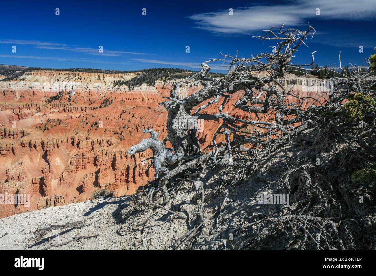 Crowning the Grand Staircase, Cedar Breaks NM sits at over 10,000 feet ...