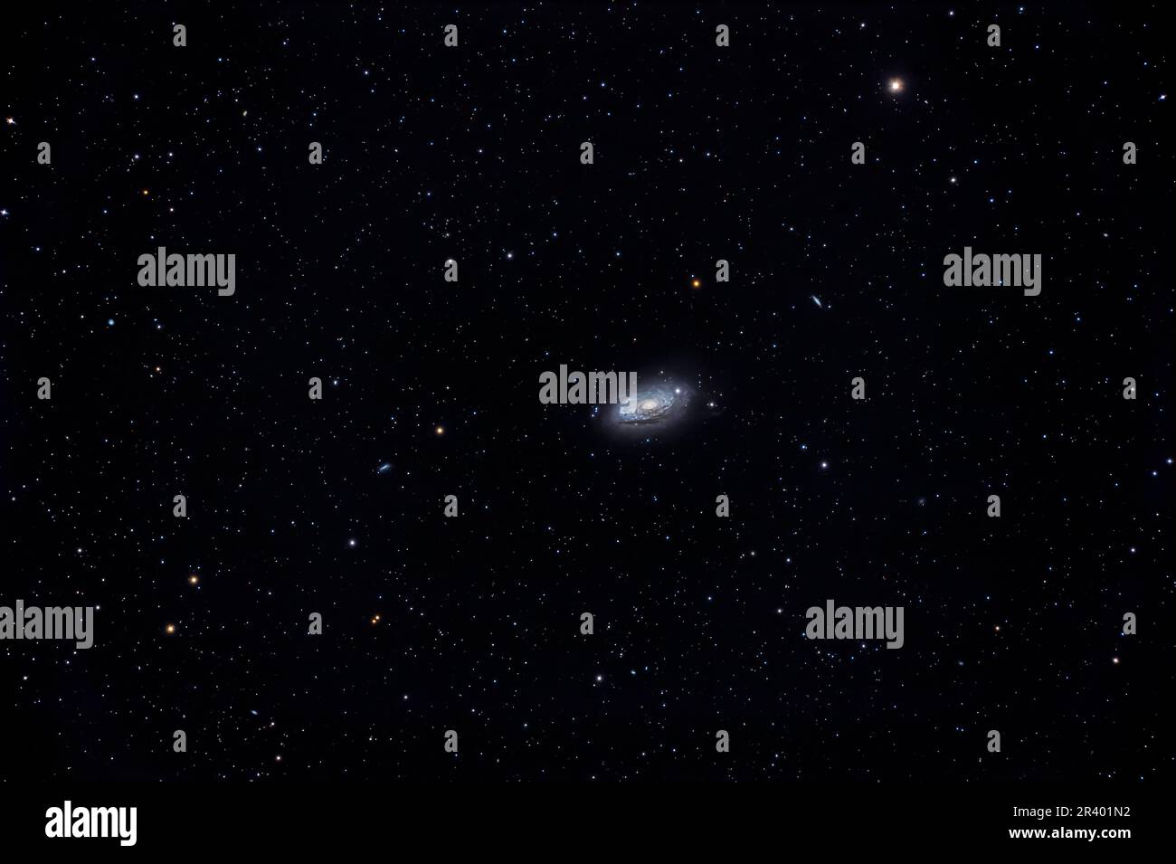 Messier 63, the Sunflower Galaxy in Canes Venatici in the northern spring sky Stock Photo - Alamy