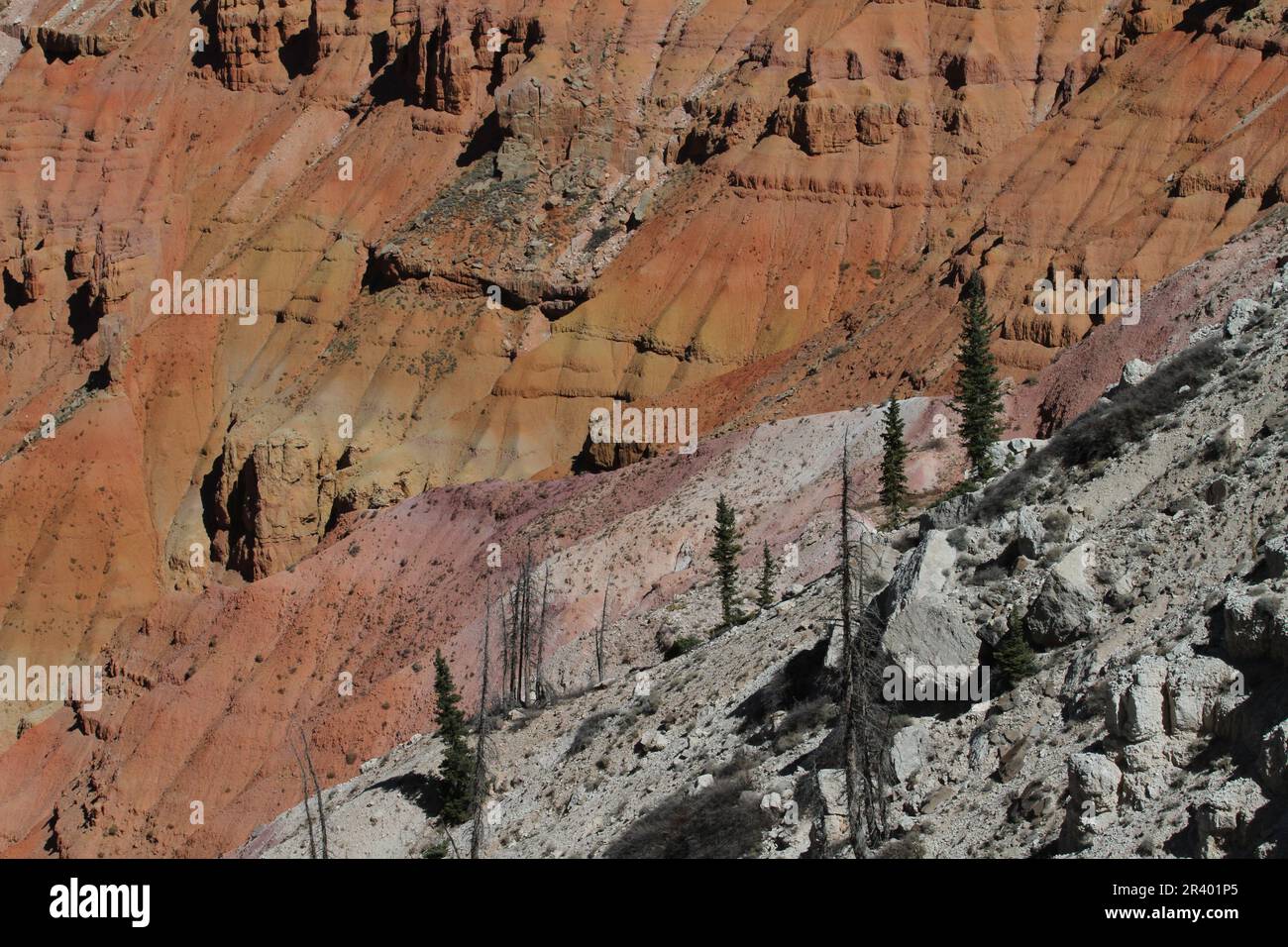 Crowning the Grand Staircase, Cedar Breaks NM sits at over 10,000 feet ...