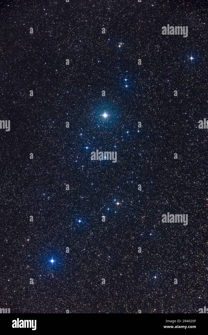 Alpha Star Cluster