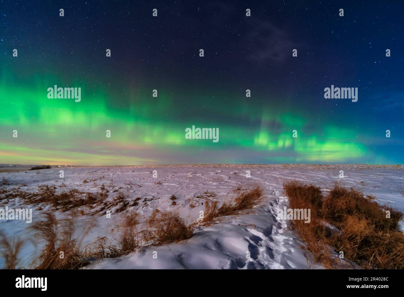 An aurora display in southern Alberta, Canada, with illumination from ...