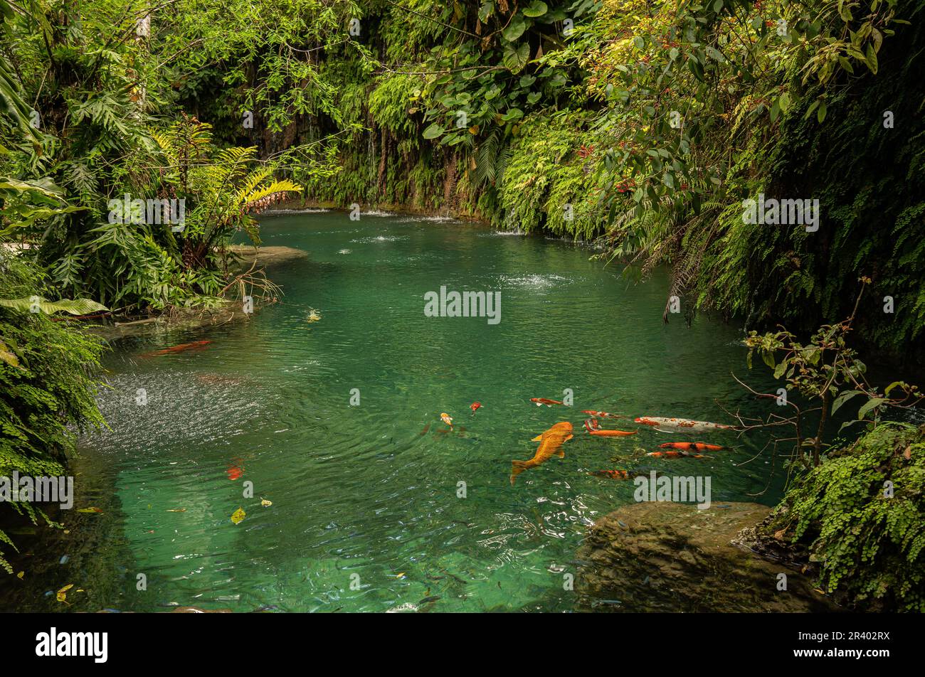Patch Heavenly Sanctuary, Redlands, South Florida Miami's own little ...